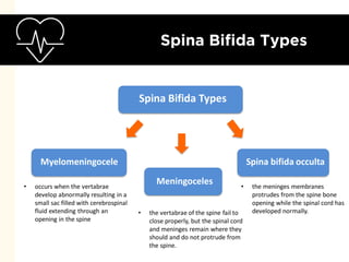 Spina Bifida Birth Defects: Possible Causes of Congenital Injuries ...