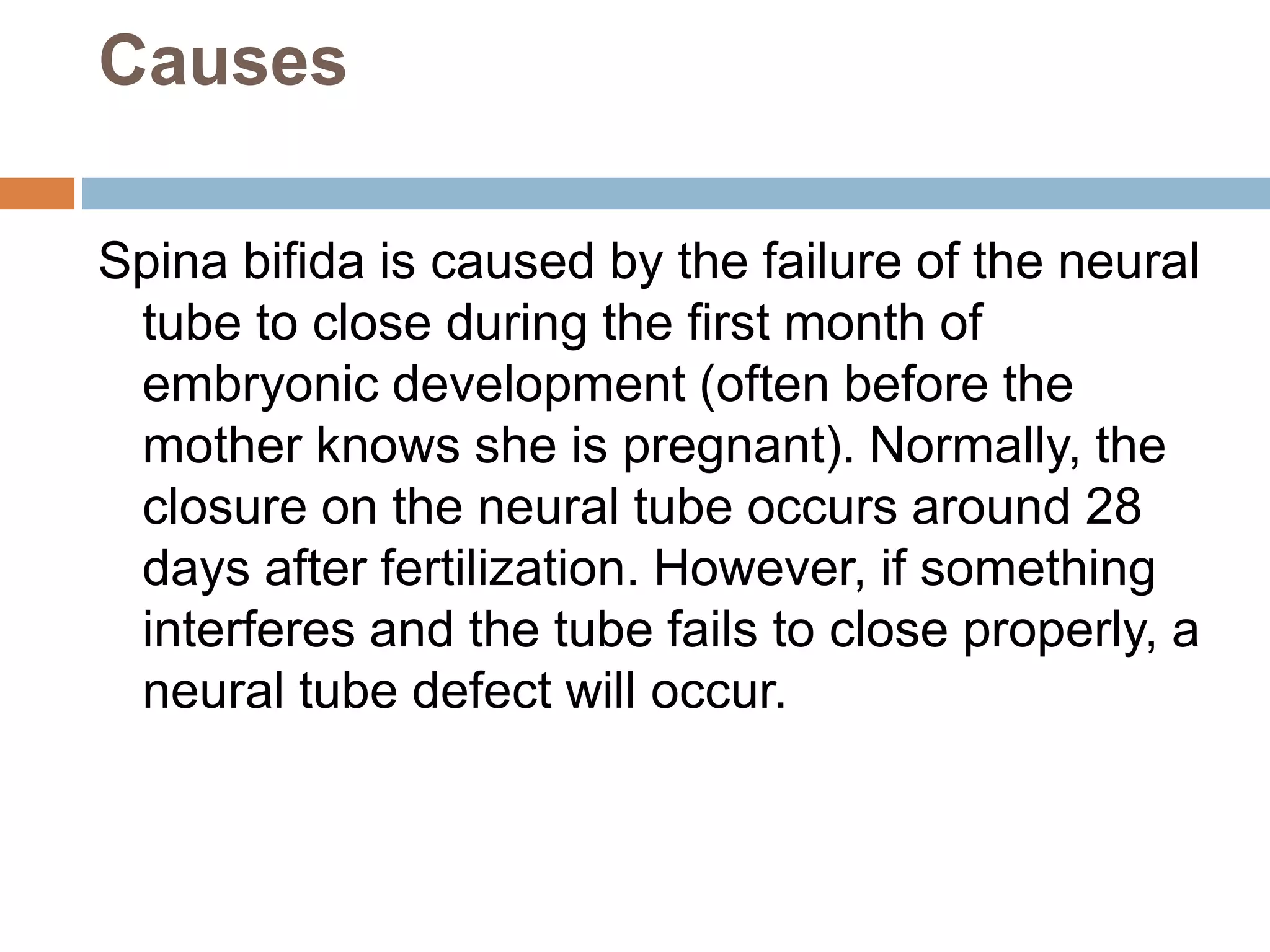 Spina Bifida -1.pptx