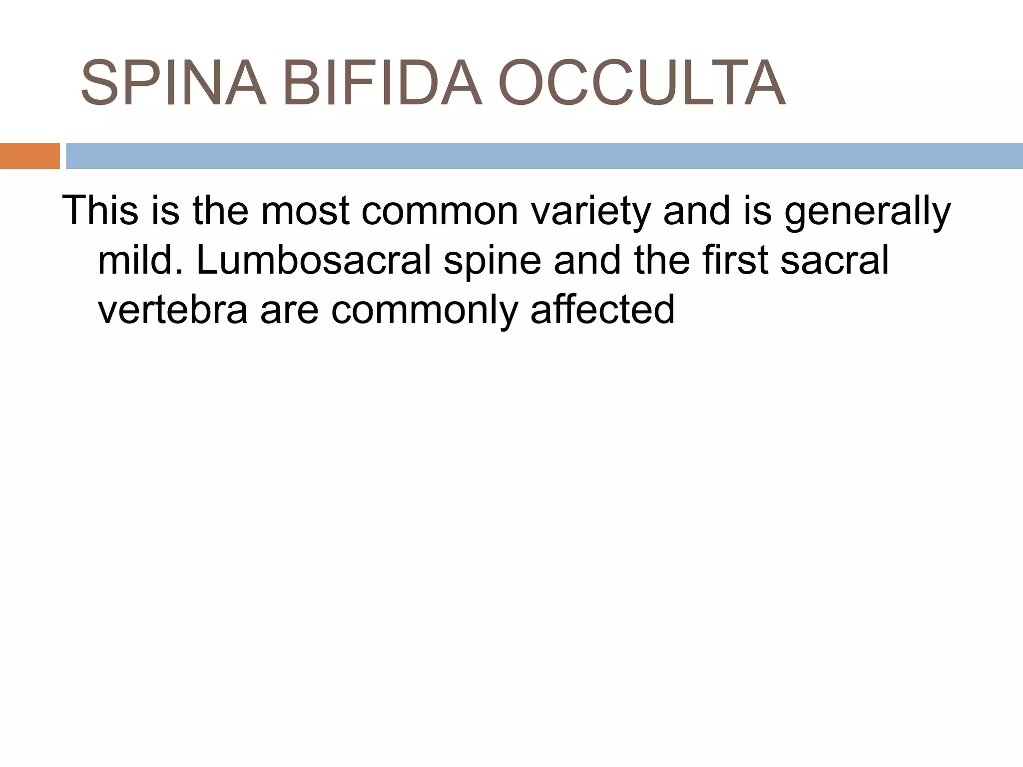 Spina Bifida -1.pptx