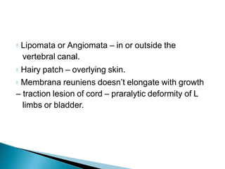 Spinabifida 130423125643-phpapp02 | PPT