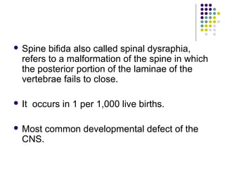 Spina bifida | PPT