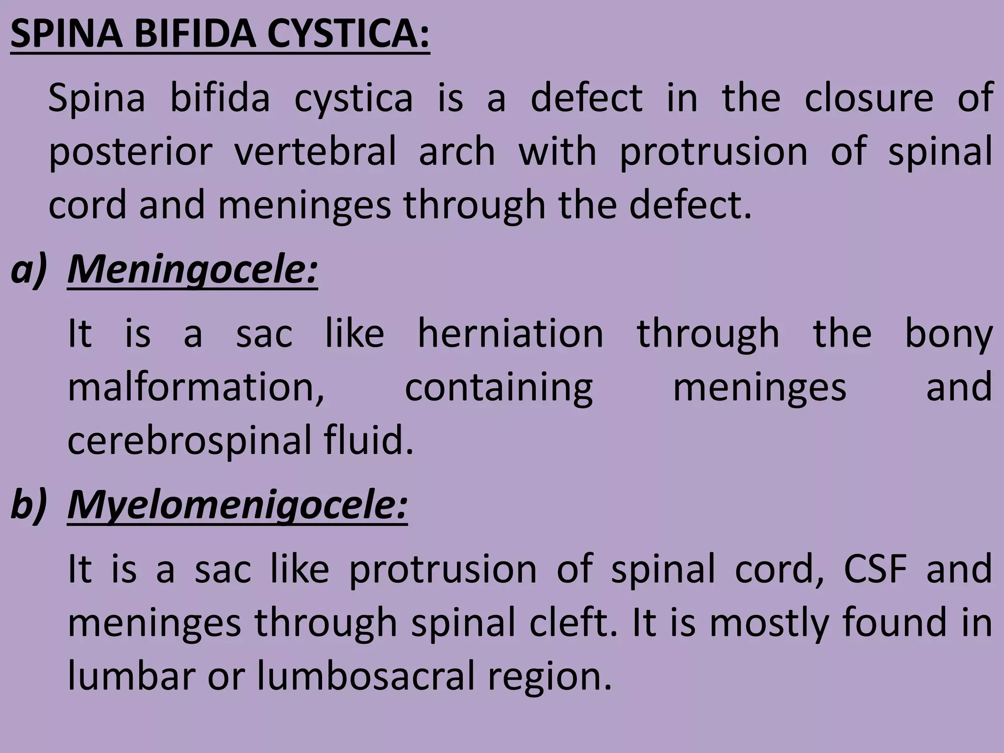 Spina Bifida Neurological Disorder Ppt