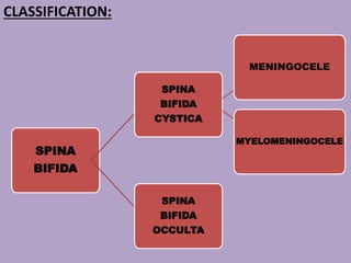 Spina bifida Neurological disorder | PPTX