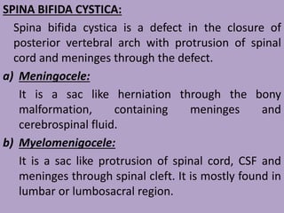 Spina bifida Neurological disorder | PPTX