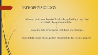 spinabifida-200601103727.pdf