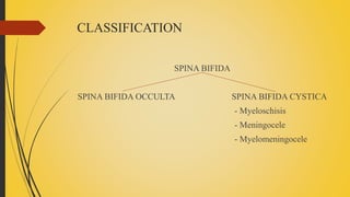 spinabifida-200601103727.pdf