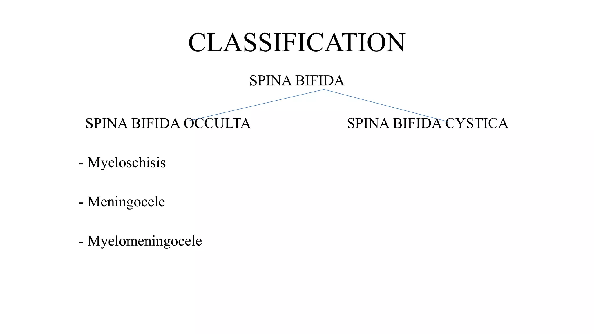 Spina bifida | PPTX