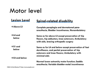 Spina Bifida - Dr Rohit Bhaskar | PDF
