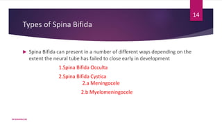 Spina bifida overview Clinical Neuro by Dr Krishna NS (M.O.Th-Neuro) | PPTX