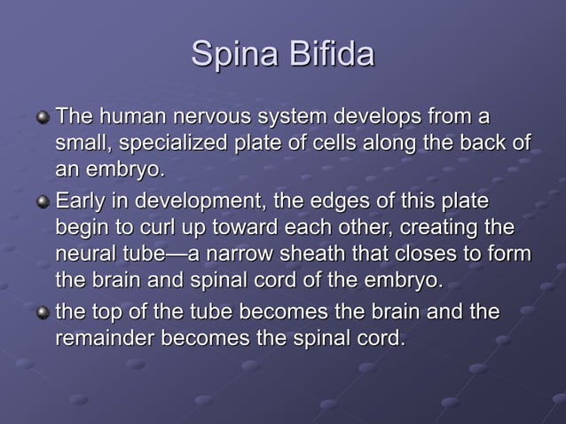 Spina bifida | PPT