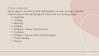 Spina Bifida | PDF
