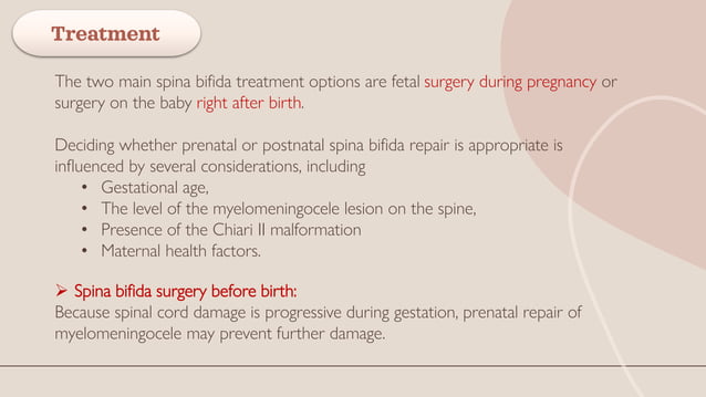 Spina Bifida | PDF | Pregnancy | Reproductive Health