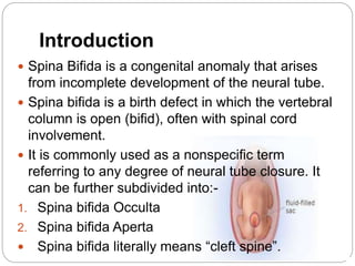 Spina Bifida.pptx
