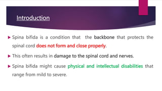spina bifida (neural tube defects) .pptx