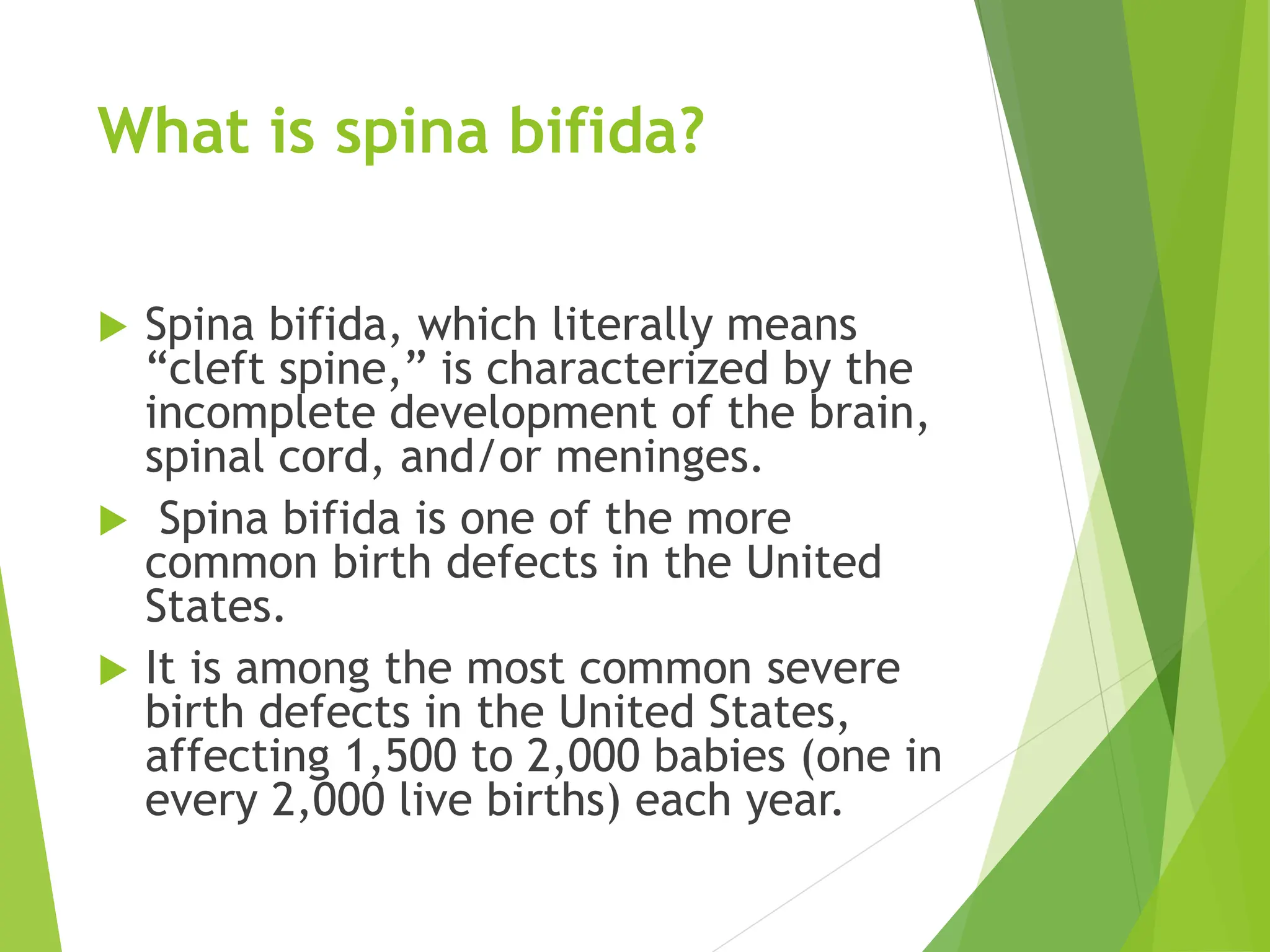 spina bifida types classifications and detailed patho | PPTX