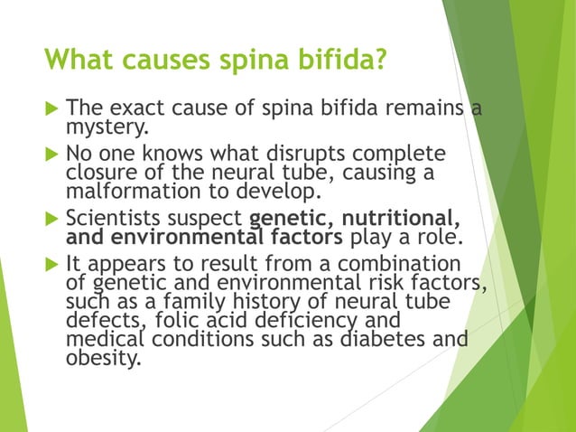 spina bifida types classifications and detailed patho | PPT