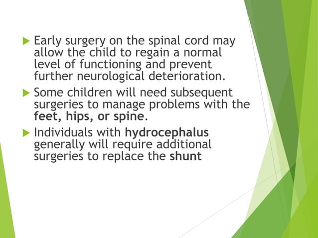 spina bifida types classifications and detailed patho | PPT