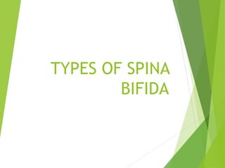 spina bifida types classifications and detailed patho | PPTX