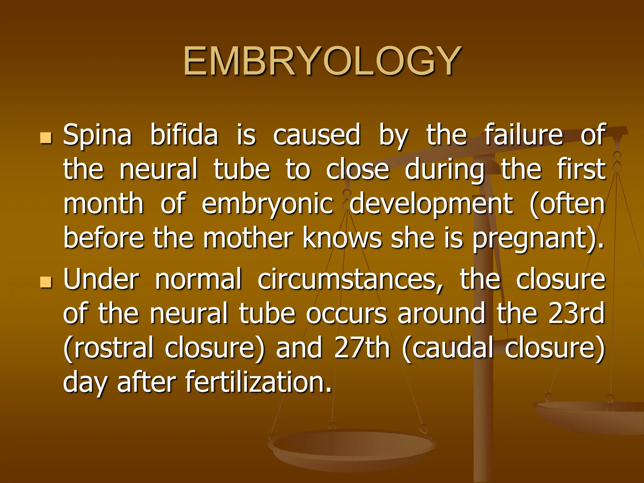 Spina Bifida Birth defect spinal nerves spinal cord | PPTX