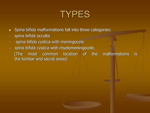 Spina Bifida Birth defect spinal nerves spinal cord | PPTX