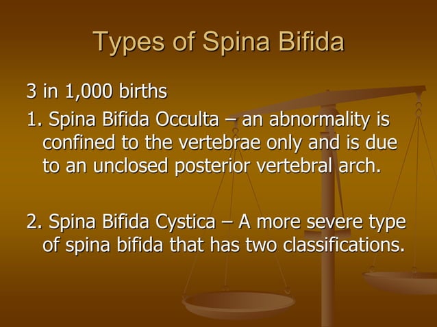 Spina Bifida Birth defect spinal nerves spinal cord | PPTX
