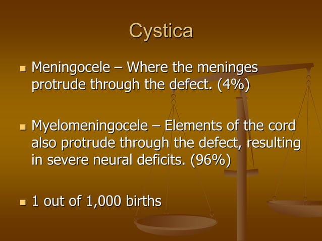 Spina Bifida Birth defect spinal nerves spinal cord | PPTX