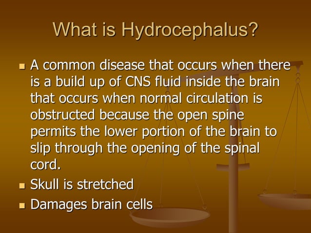 Spina Bifida Birth defect spinal nerves spinal cord | PPTX