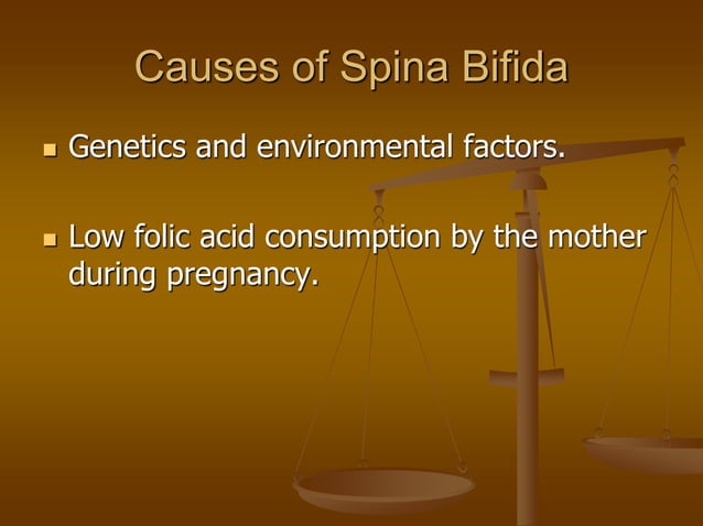 Spina Bifida Birth defect spinal nerves spinal cord | PPTX