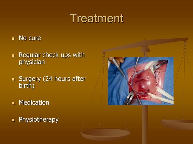 Spina Bifida Birth defect spinal nerves spinal cord | PPTX