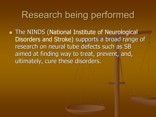 Spina Bifida Birth defect spinal nerves spinal cord | PPTX