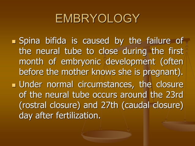Spina Bifida Birth defect spinal nerves spinal cord | PPTX