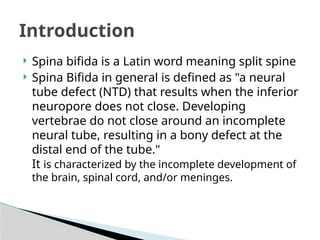 SPINA BIFIDA.pptx one of the neural tube defects | PPT