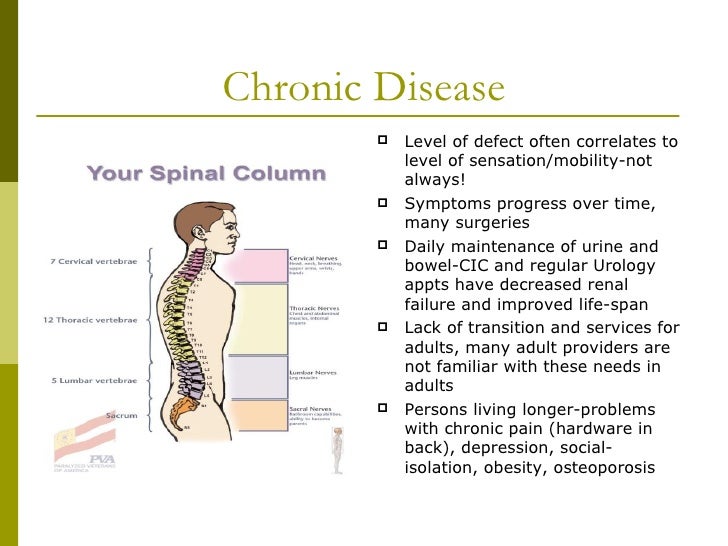 Spina Bifida Pathophysiology