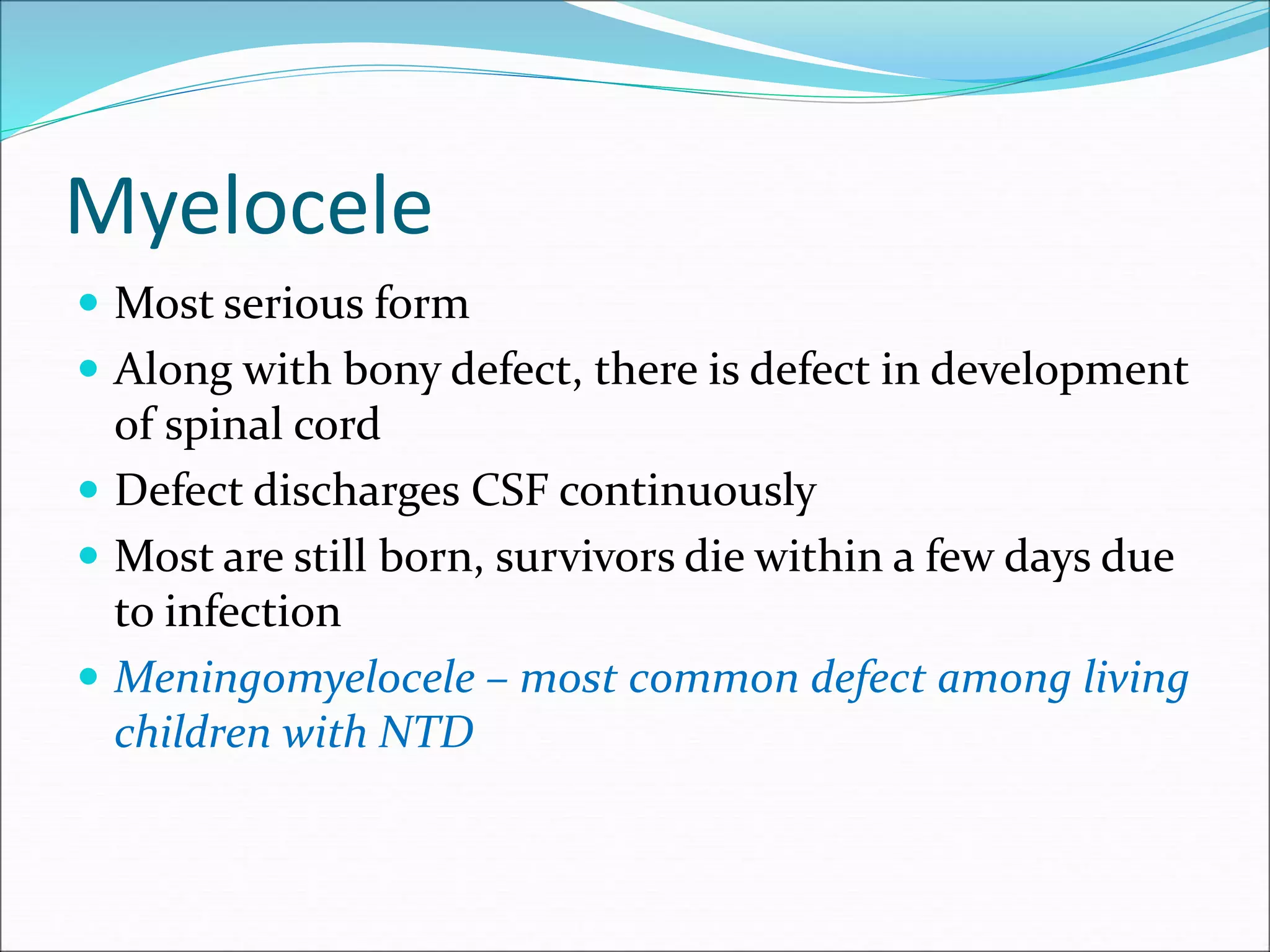 Spina bifida | PPT