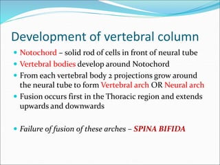 Spina bifida | PPT