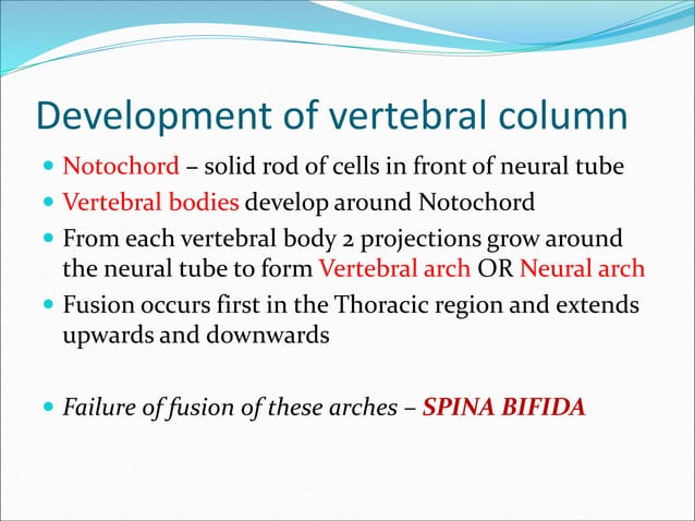 Spina bifida | PPT