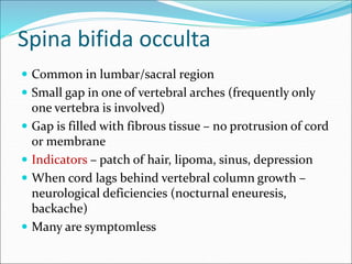 Spina bifida | PPT