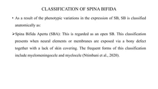 Physiotherapy management of spina bifida ppt by Oluwadamilare Akinwande ...