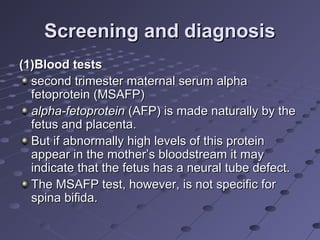 Spina bifida group | PPT