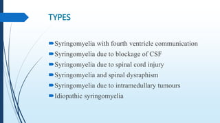 SPINA BIFIDA n-1.pptx Presentation on Spina bifida | PPTX | Brain and ...