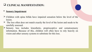 SPINA BIFIDA ppt.pptx upload powerpoint presentation | PPTX