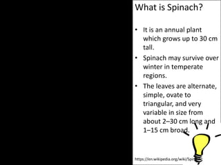 Spinach | PPT