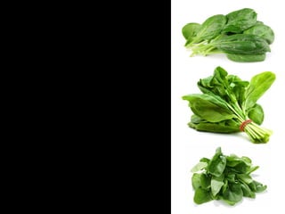 Spinach | PPT