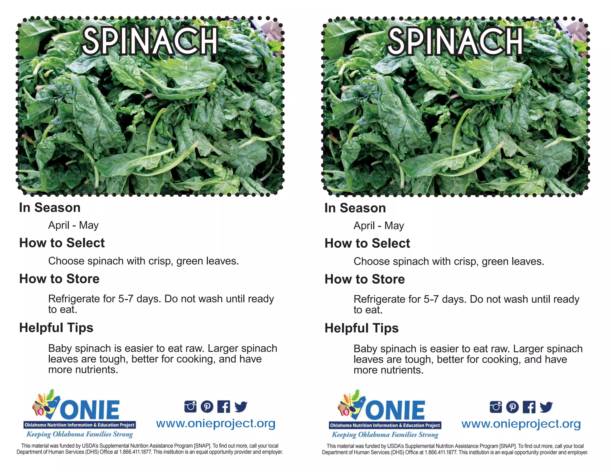 Spinach Recipe Card | PPT