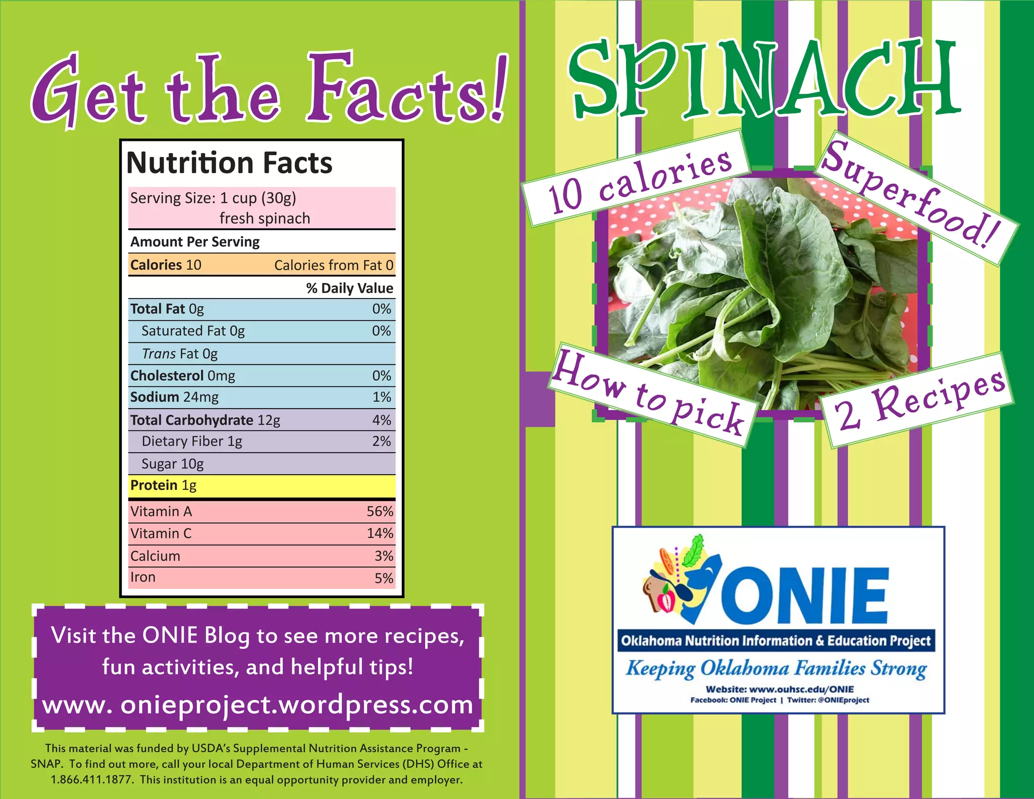 Spinach Facts Brochure | PDF