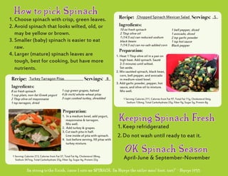 Spinach Facts Brochure | PPT
