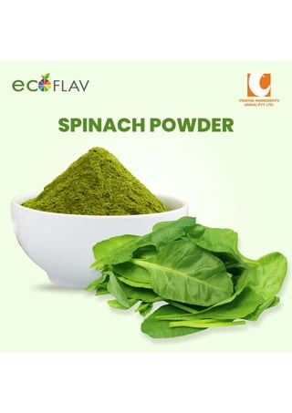 Exploring Spinach's Potent Plant Compounds: A Health Treasure Trove | PDF