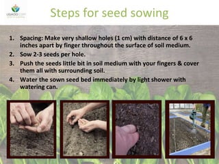 Spinach sowing instructions.pptx