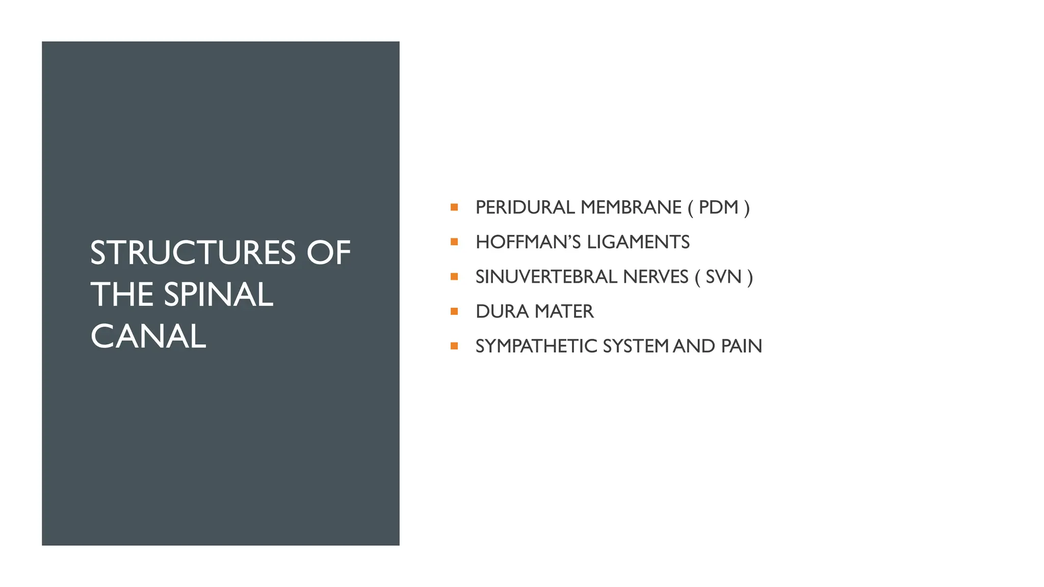 spinal-canal_anatomy_alessandro-marzagalli (1).pdf