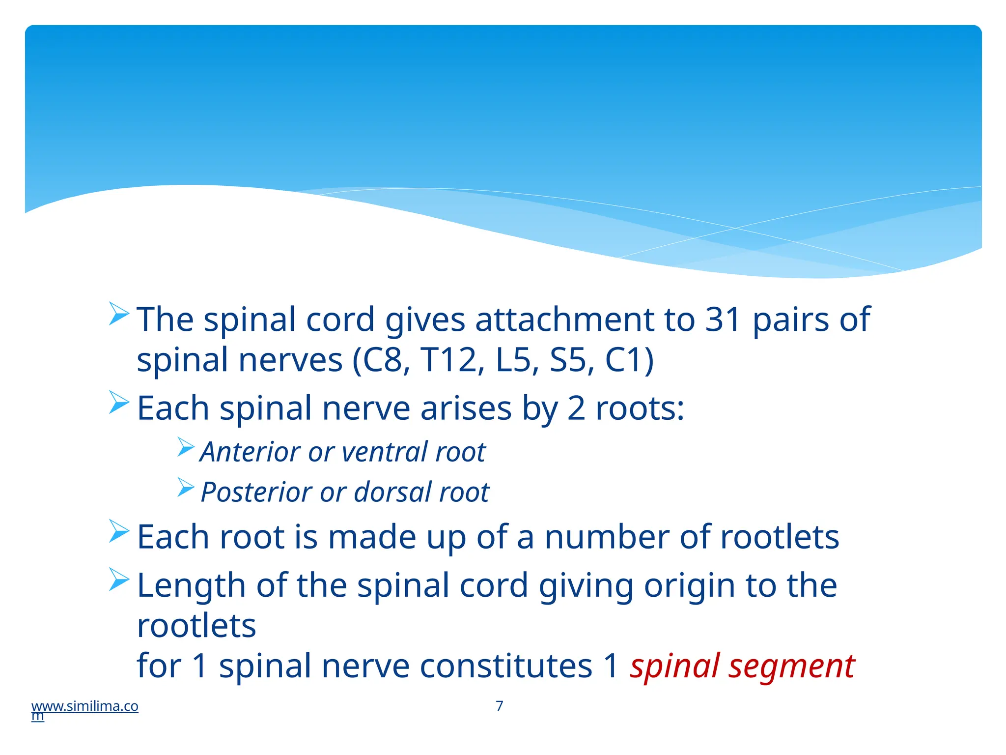 spinal-cord-functions & clinical significance.pptx